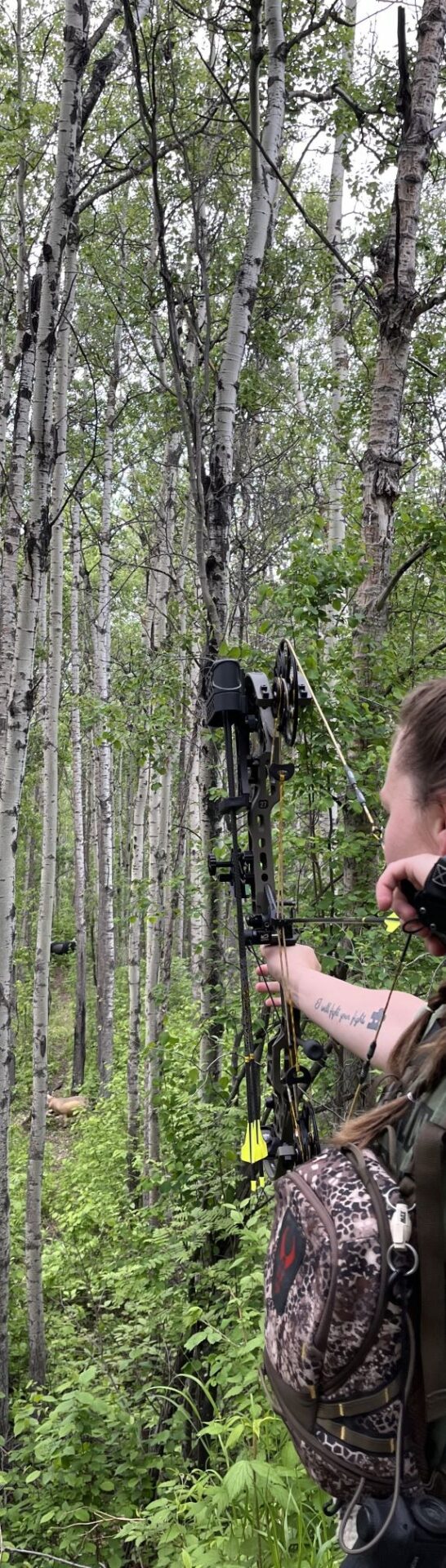 Resources – Parkland Bowbenders